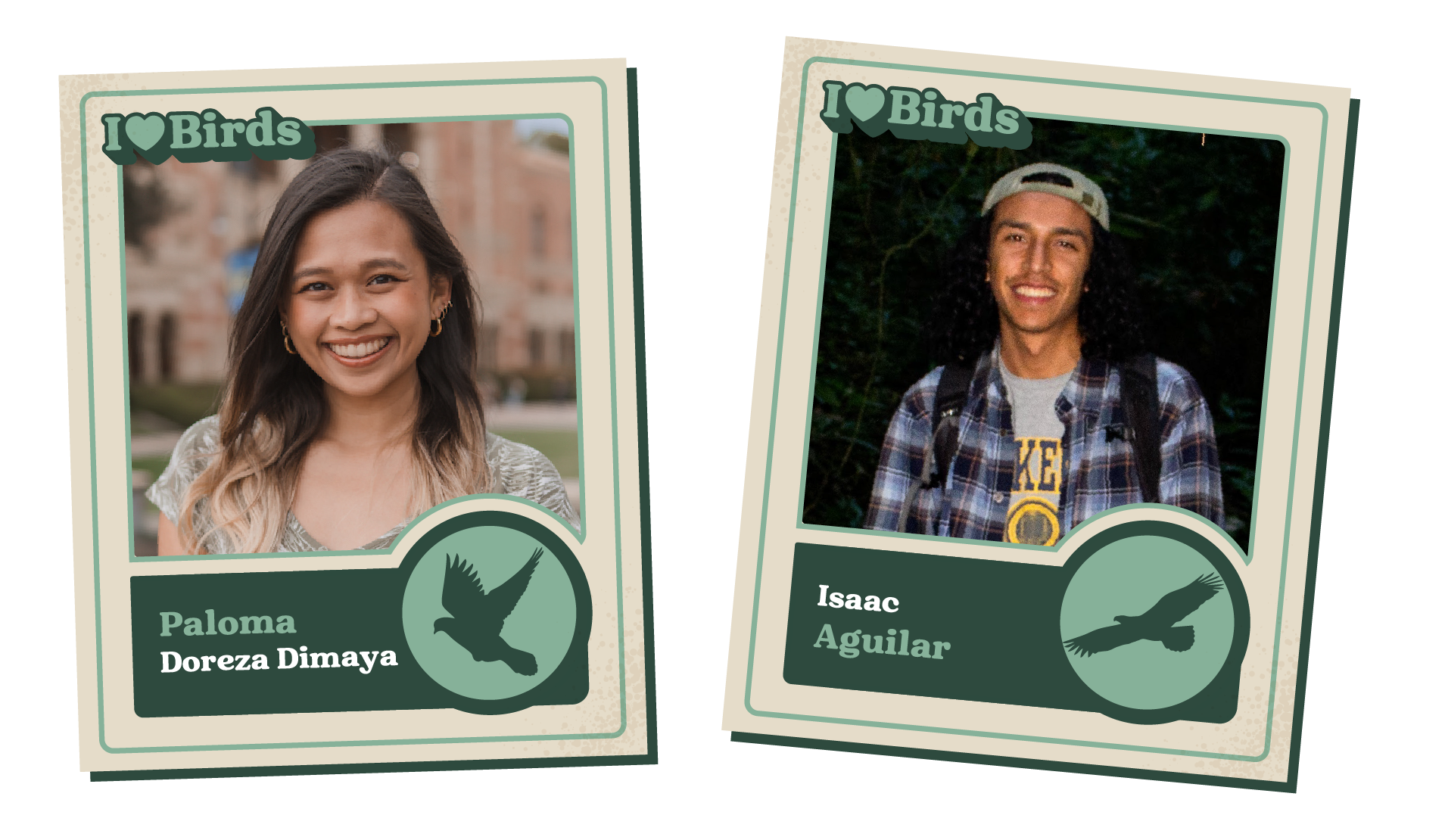 A Bruin field guide to the birds that shape our work and lives | UCLA