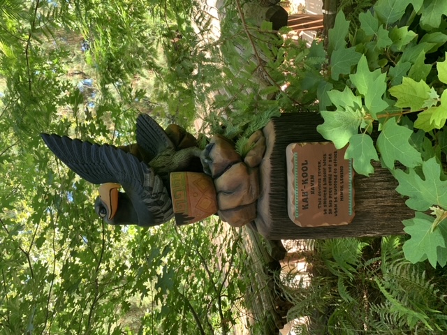 Native American folklore’s most fascinating birds | UCLA