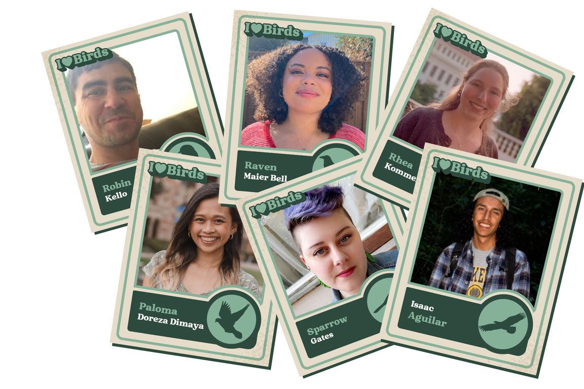 People with bird names | UCLA