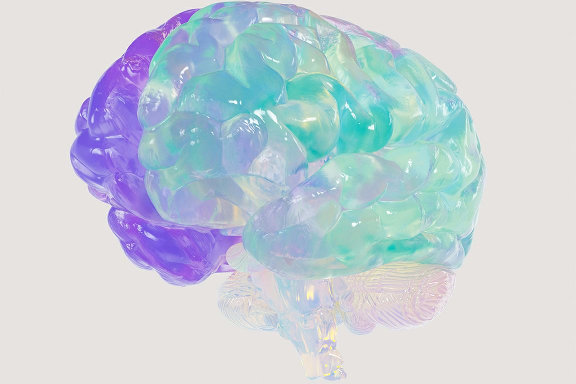 Scientists can reverse brain aging in fruit flies by preventing buildup ...