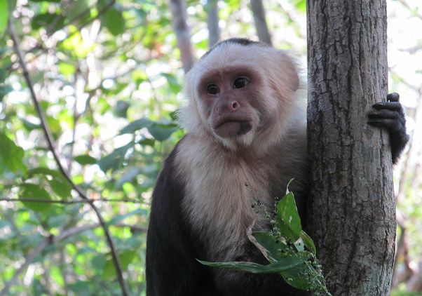 Science + Technology | UCLA