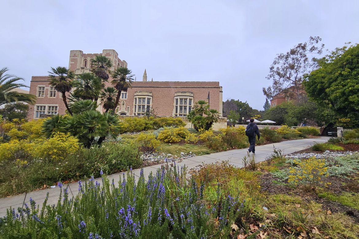 Photo | Landscaping | UCLA