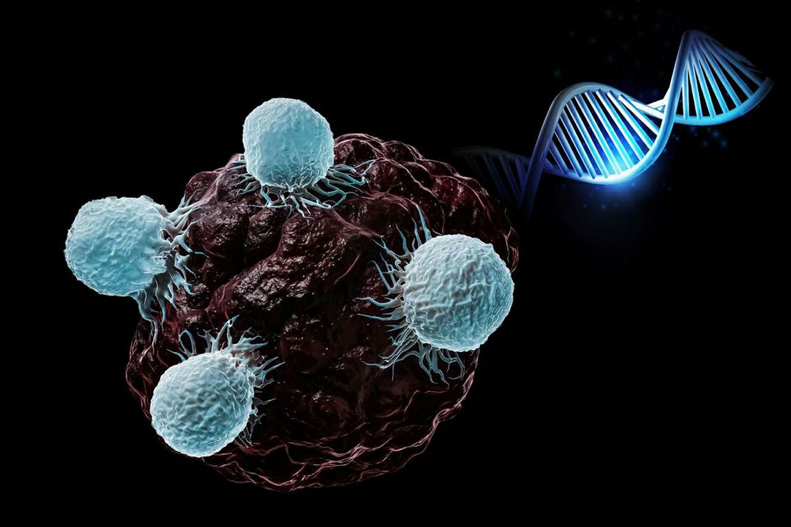 Scientists now know how melanoma skin cancer evolves to resist ...
