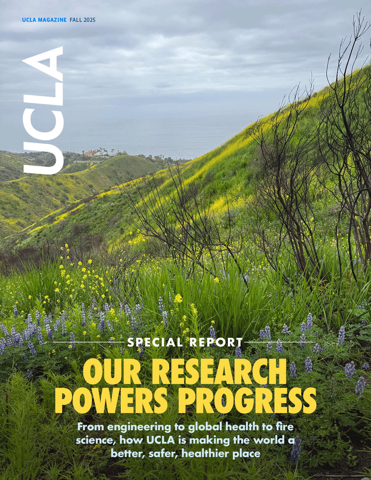 Fall 2025: In This Issue | UCLA