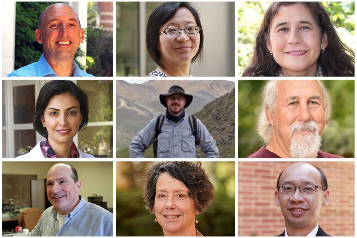 Photo | Collage of UCLA faculty elected to American Association for the ...