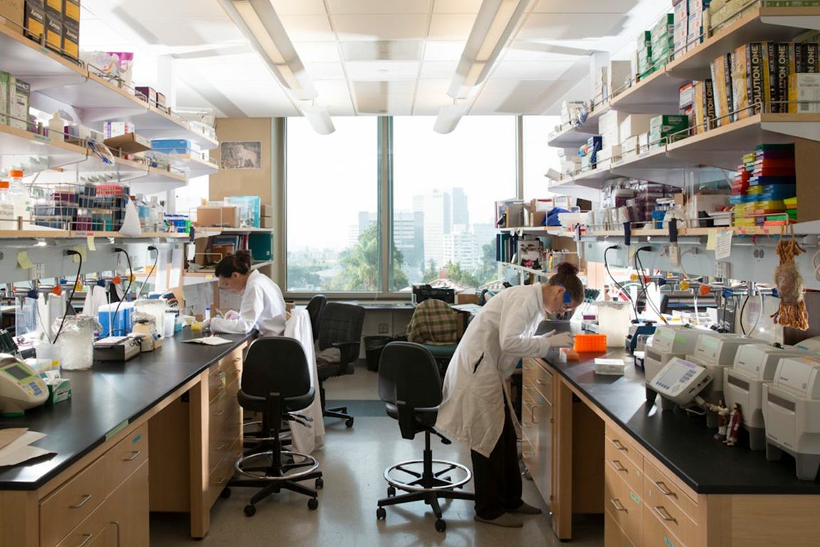 Undergraduate Research Week showcases student innovation and creativity ...