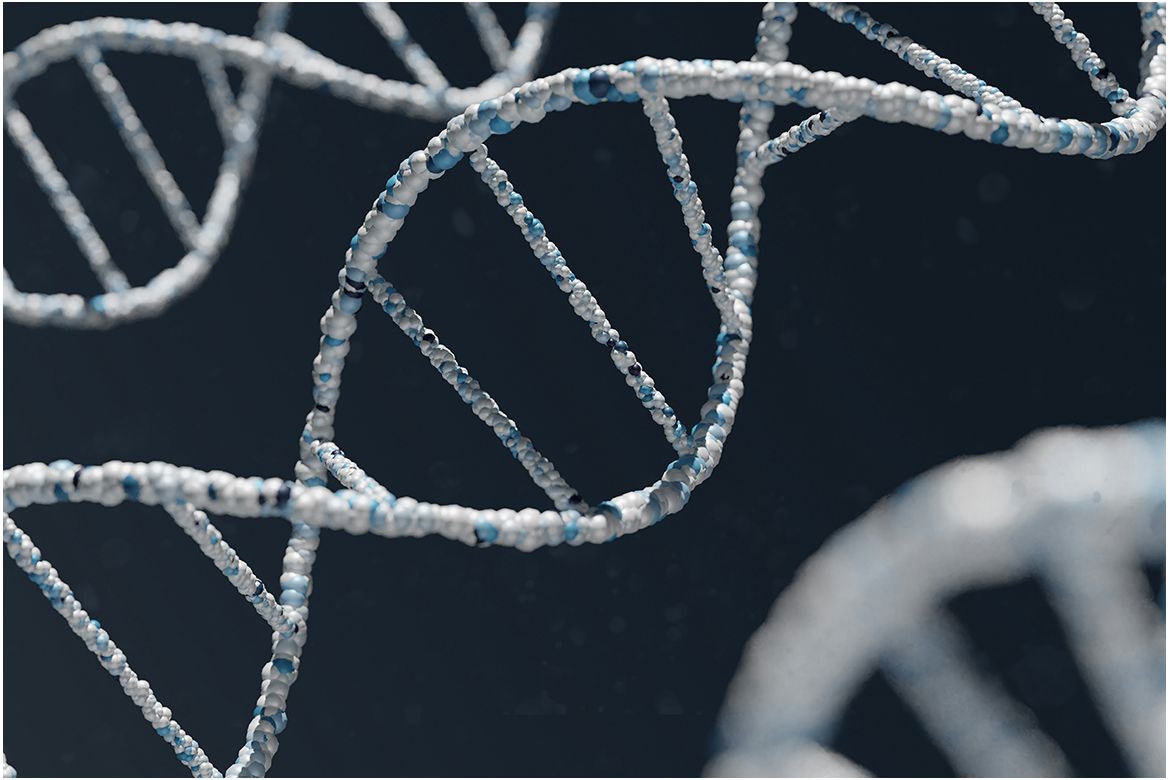 How fast mRNA degrades linked to autoimmune disease risk | UCLA