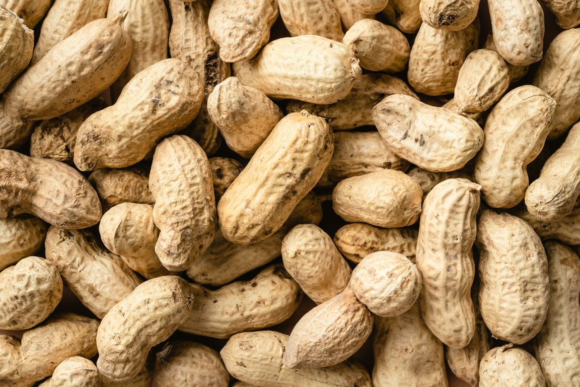 Cracking the shell: How a UCLA nanoparticle takes aim at peanut ...
