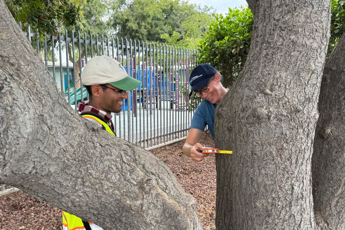 UCLA-UC study seeks to improve shade at California public schools | UCLA