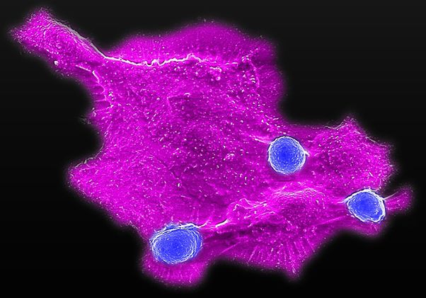 Daniel Martin is humbled by Veteran of the Year award | UCLA