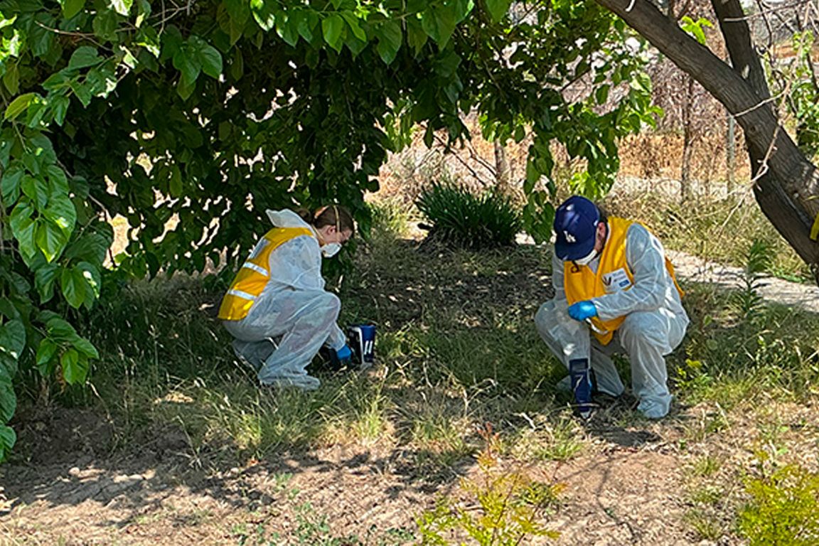 One year after the L.A. fires, UCLA engineers advance fire mitigation efforts | UCLA