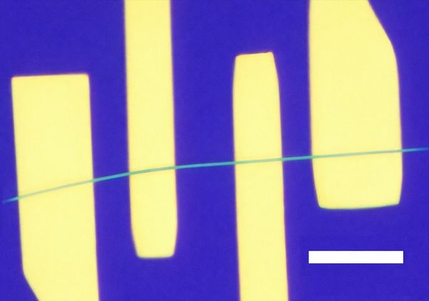 Science Technology Ucla