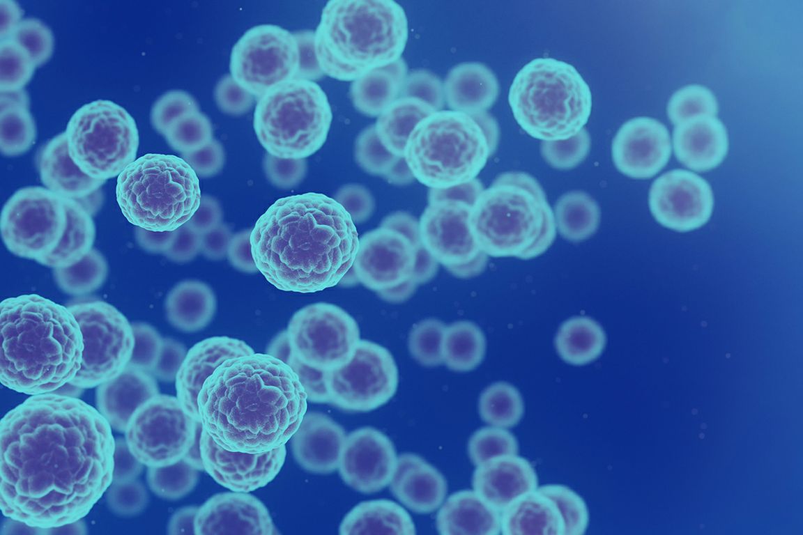 UCLA researchers develop new approach to supercharge immune cells with ...