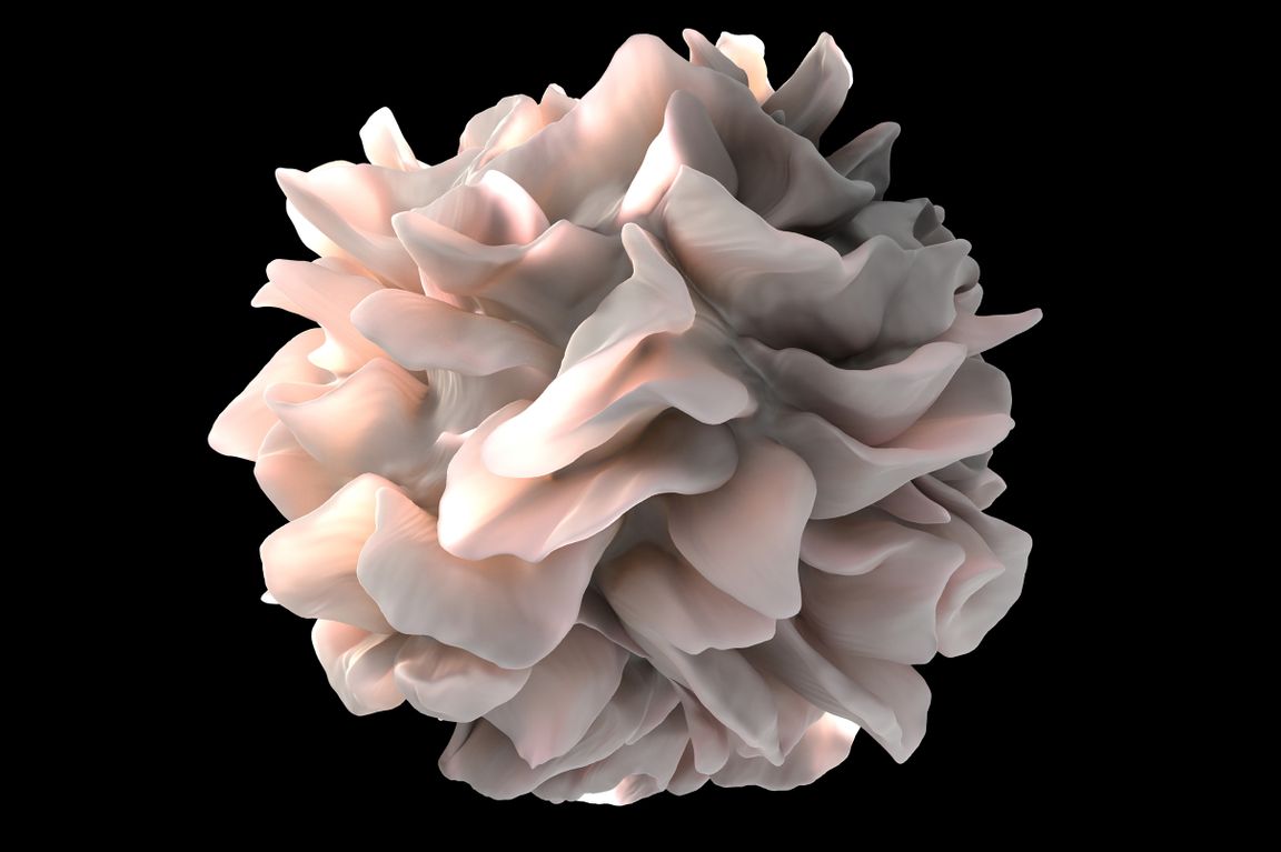 Creatine may supercharge immune cells that are key to fighting cancer ...