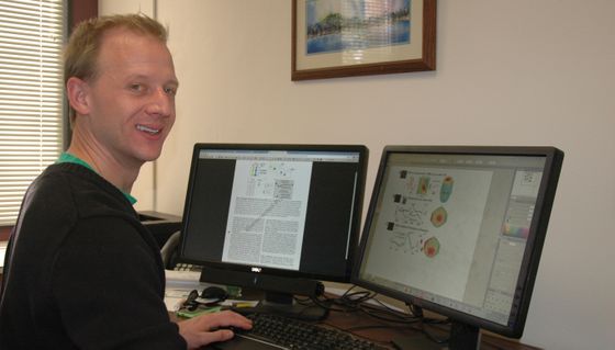 Conflict biases learning: less reward, more aversion: UNM Newsroom