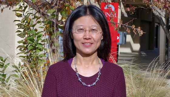 New Anderson faculty member thinks about taxes and lobbyists: UNM Newsroom