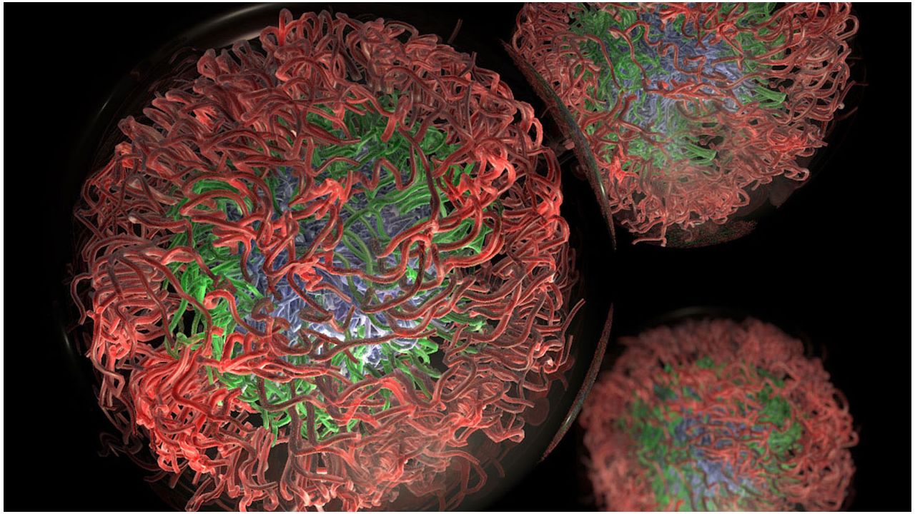 Engineered intrinsically disordered proteins provide biomedical ...