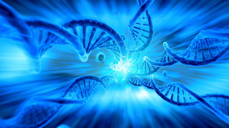 Pushing the boundaries of DNA sequencing: UNM Newsroom