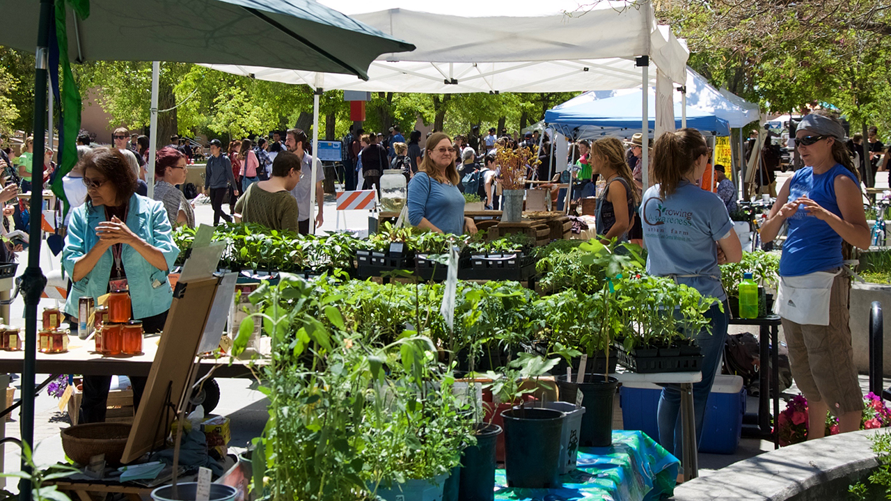 UNM Sustainability Expo returns April 25 | UNM UCAM Newsroom