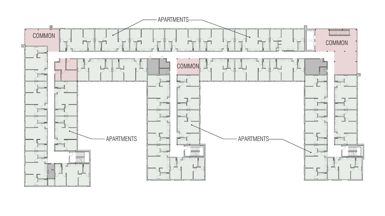 A Lobo Rainforest in the desert: UNM UCAM Newsroom