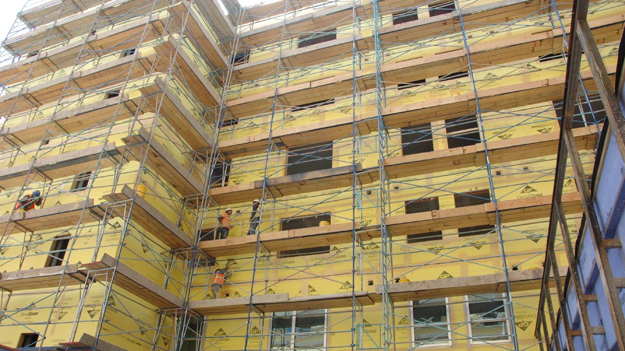 A Lobo Rainforest in the desert | UNM UCAM Newsroom