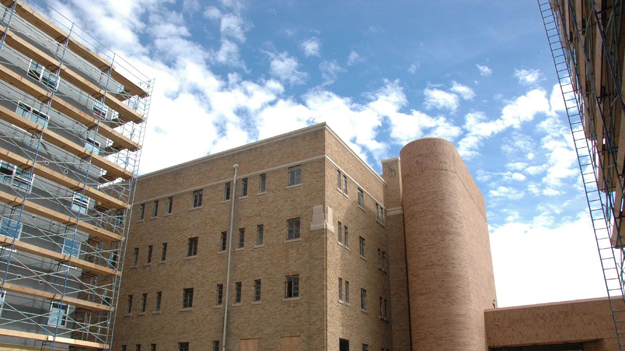 A Lobo Rainforest in the desert | UNM UCAM Newsroom