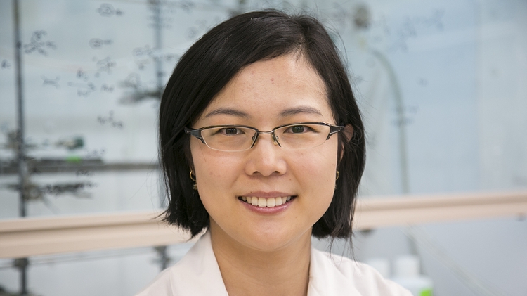 Photo | Lina Cui | UNM UCAM Newsroom