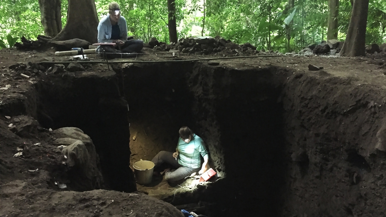 Ancient human population histories revealed in Central and South ...