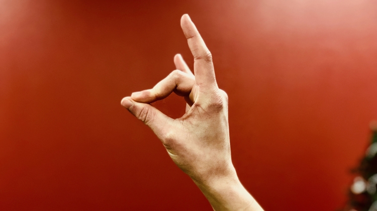 Gender identity and personal pronouns now supported in LoboWeb: UNM ...