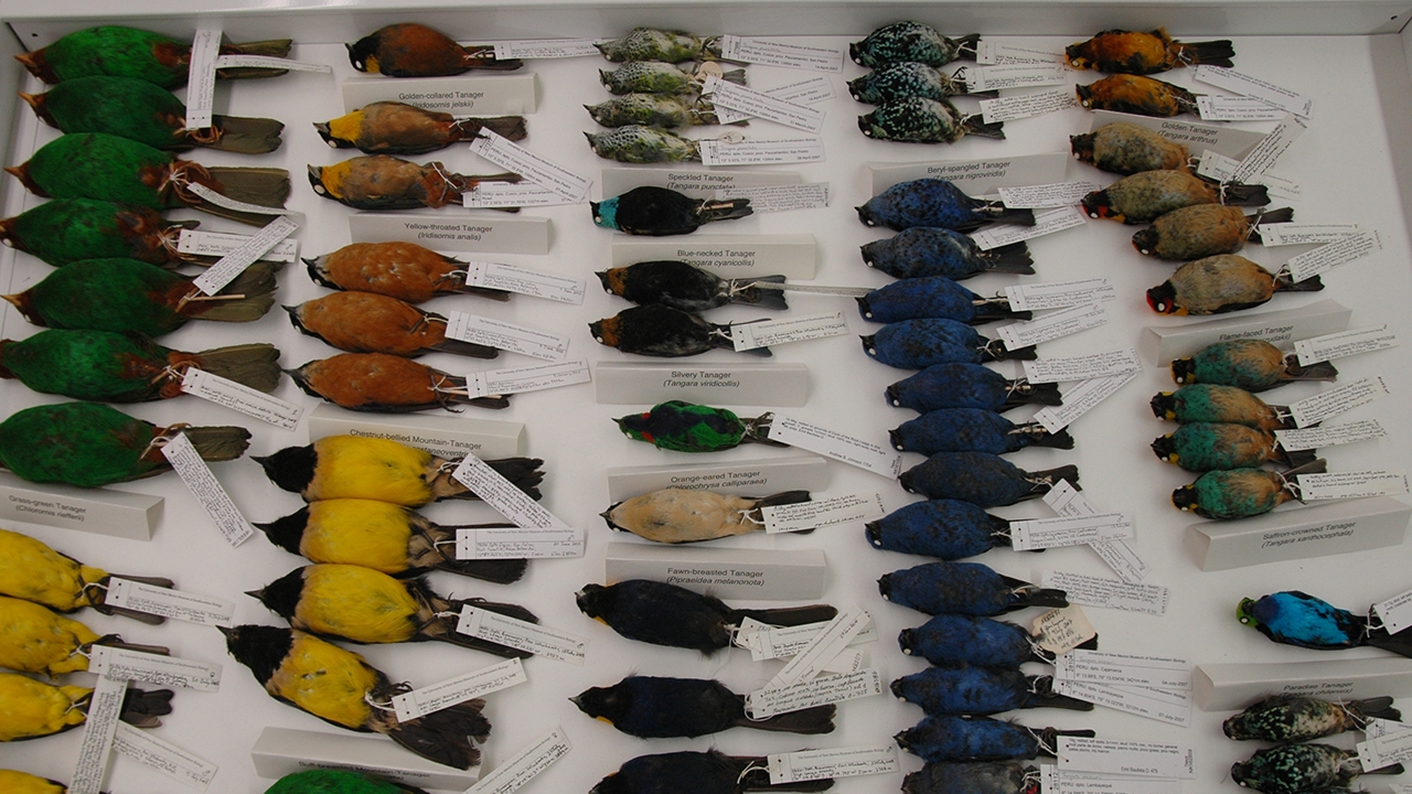Museum of Southwestern Biology hosts The Science of Biodiversity: UNM ...