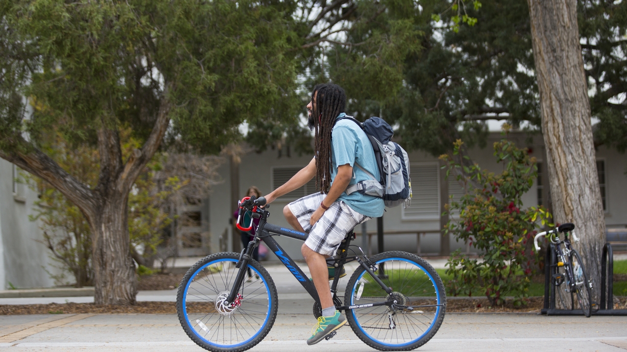 Research shows more bikes equal safer roads for all | UNM UCAM Newsroom
