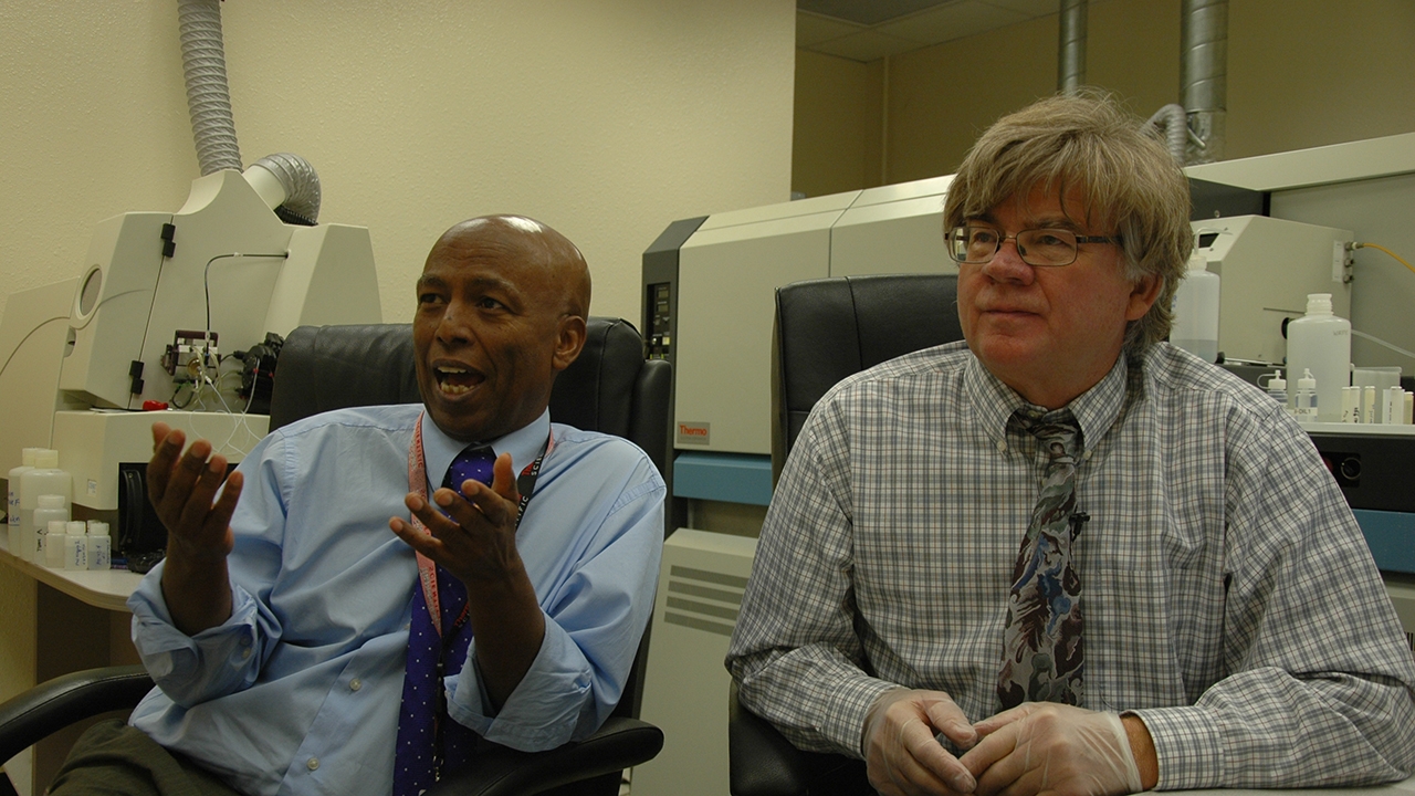 Scientists discover evidence for past high-level sea rise at current ...