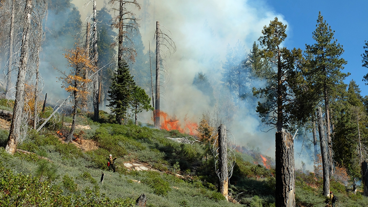 UNM scientists work to mitigate fire danger in Santa Fe Watershed | UNM ...