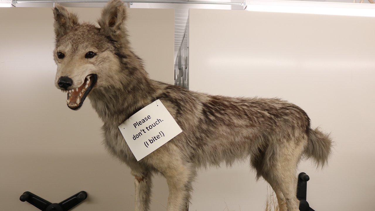 Visitors experience 'The Science of Biodiversity' at UNM's Museum of ...