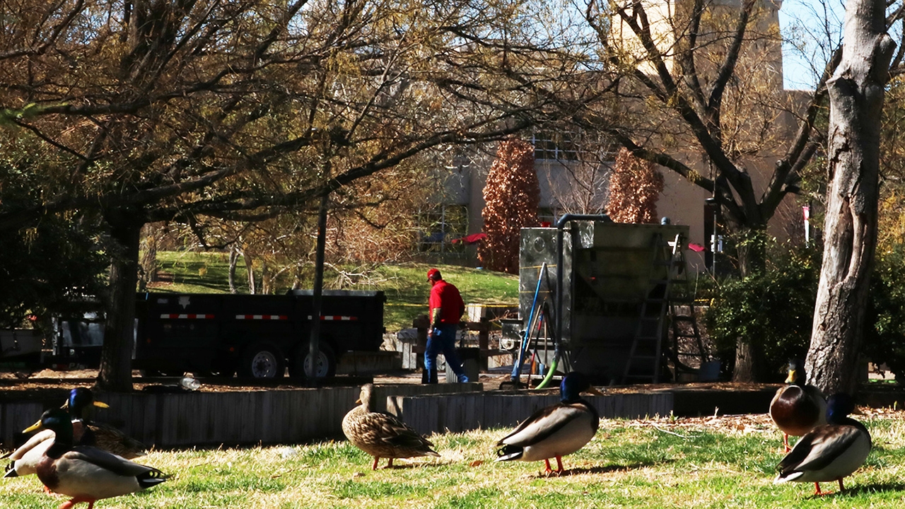 Facilities Management grounds adopts sustainable approach to Duck Pond ...