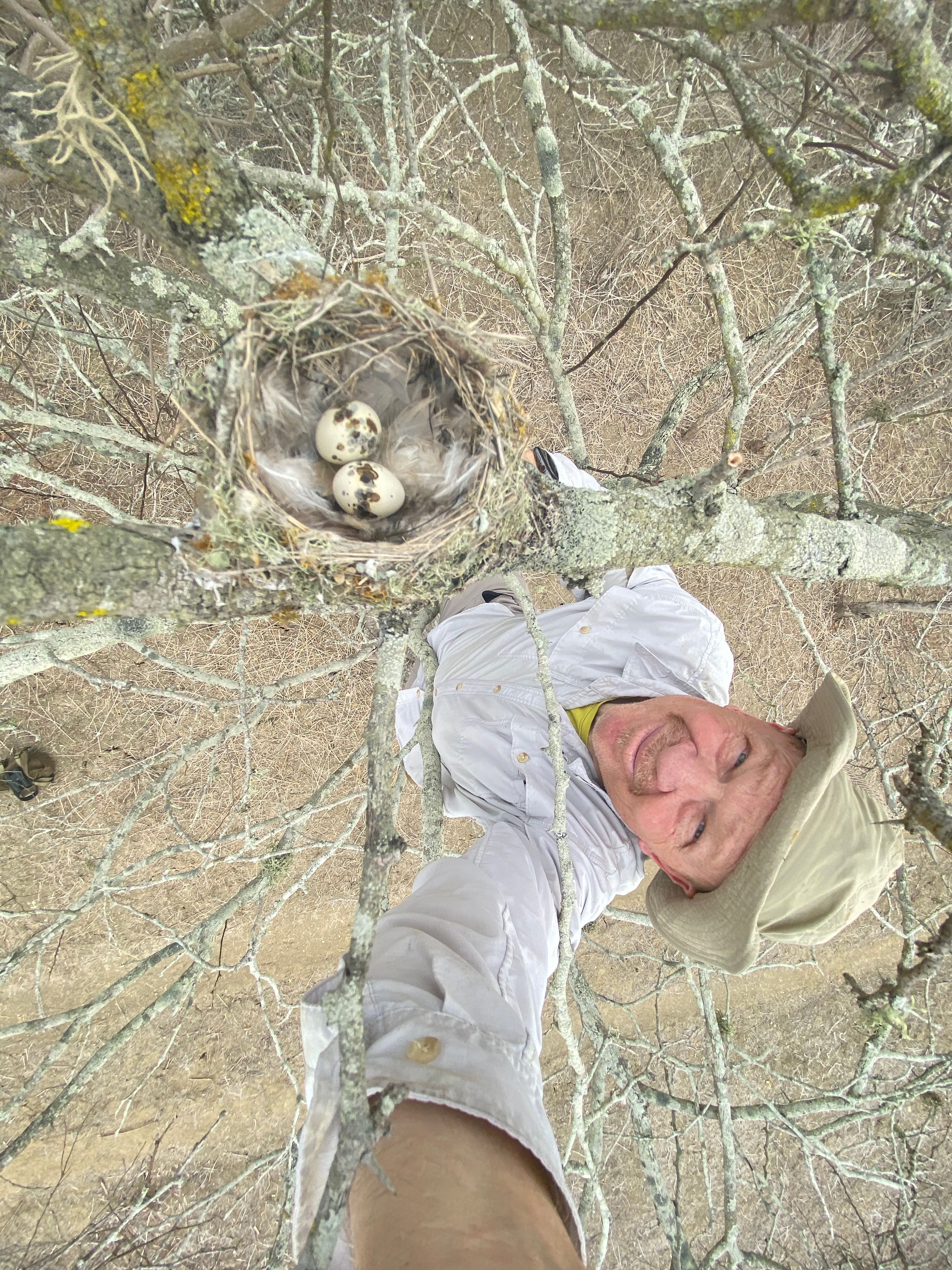 UNM, LANL to study radioactive elements in tortoises | UNM UCAM Newsroom
