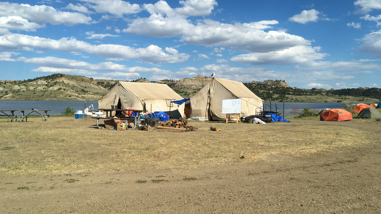 UNM researchers: Scientists describe earliest primate fossils | UNM ...