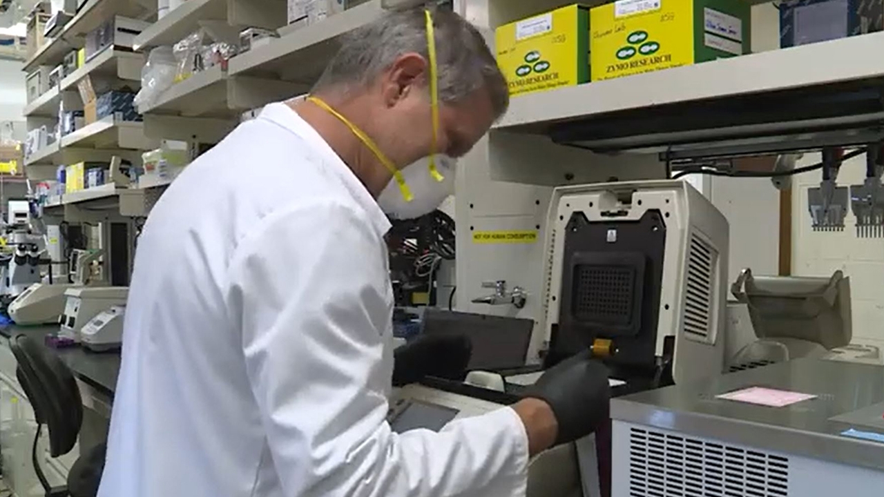 Researchers develop chip that improves testing and tracing for COVID-19 ...