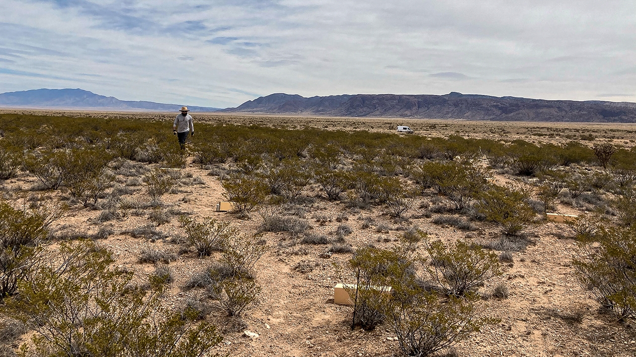 Scientists study how regional climate variability affects animals in ...