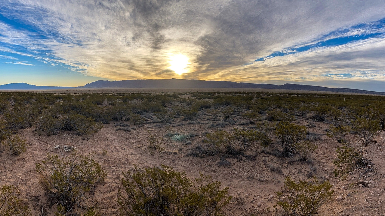 Scientists study how regional climate variability affects animals in ...