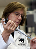 UNM names 10 faculty to the rank of Distinguished Professor | UNM UCAM ...
