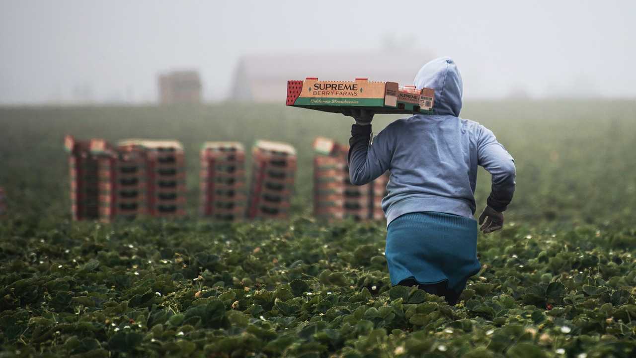 U.S. immigration legislation since 1776 | UNM UCAM Newsroom