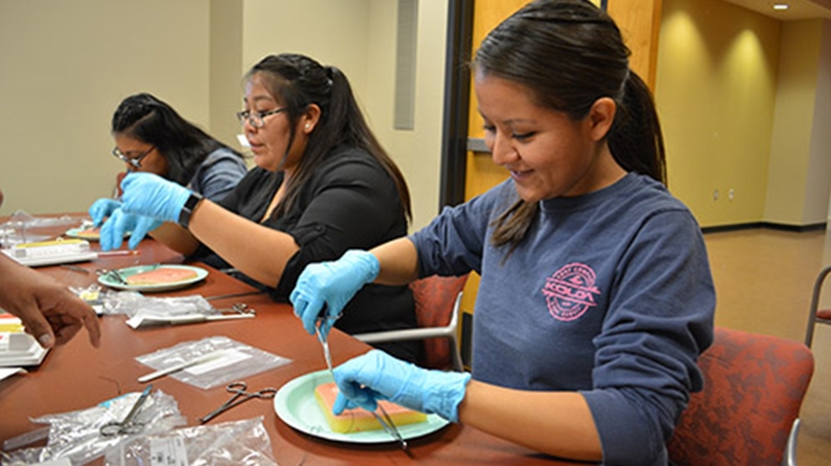 Photo | Native American healthcare fellowship | UNM UCAM Newsroom