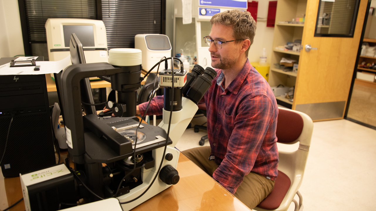 Exercise science team conducts study on exercise and inflammation | UNM ...