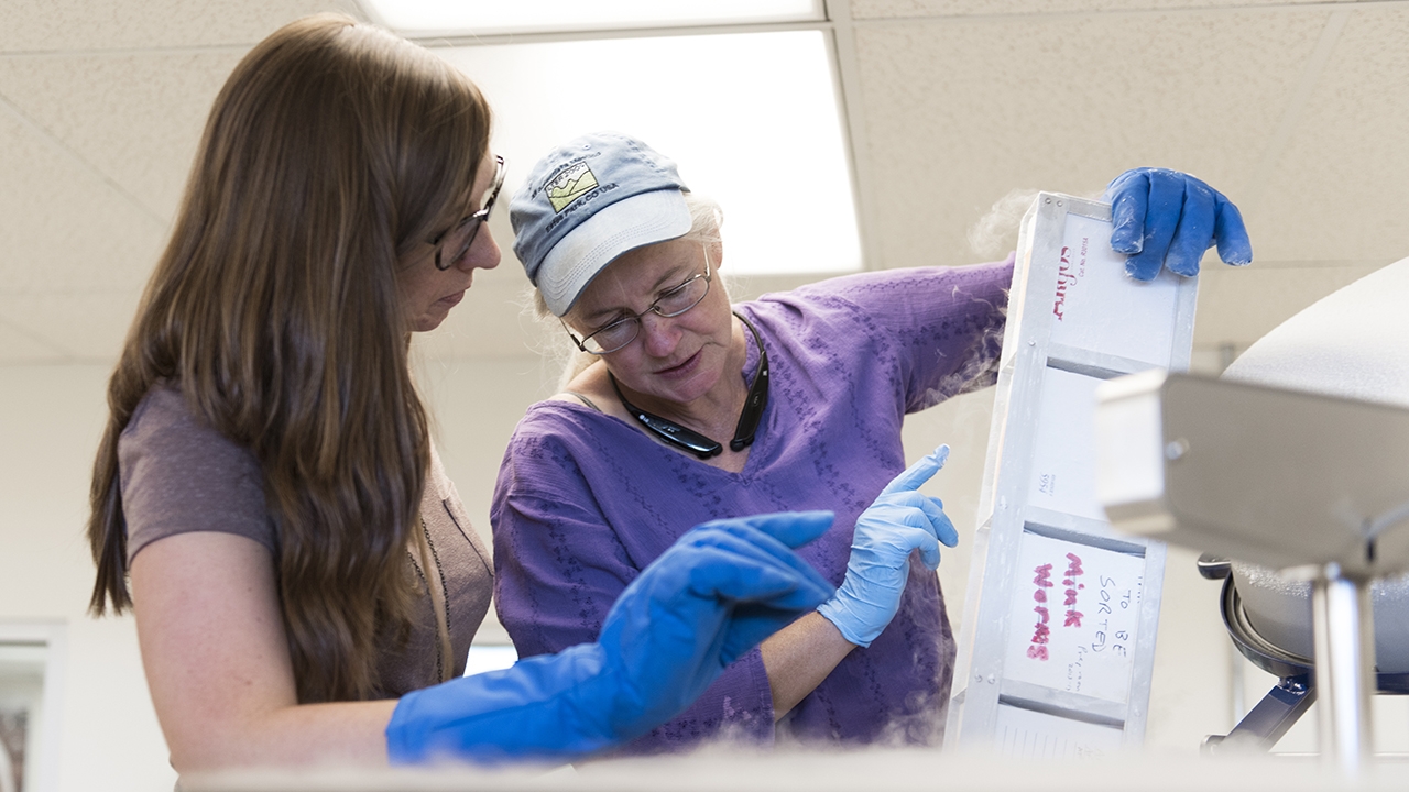 UROC showcases student research | UNM UCAM Newsroom
