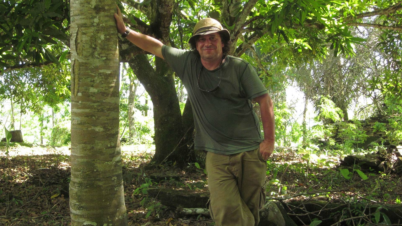 Migrants from south carrying maize were early Maya ancestors | UNM UCAM ...