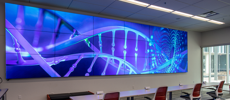 PAÍS Visualization Lab brings big data to life | UNM UCAM Newsroom