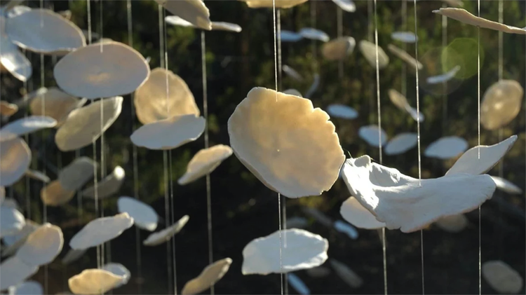 UNM Honors College hosts art installation featuring alumna Anna ...