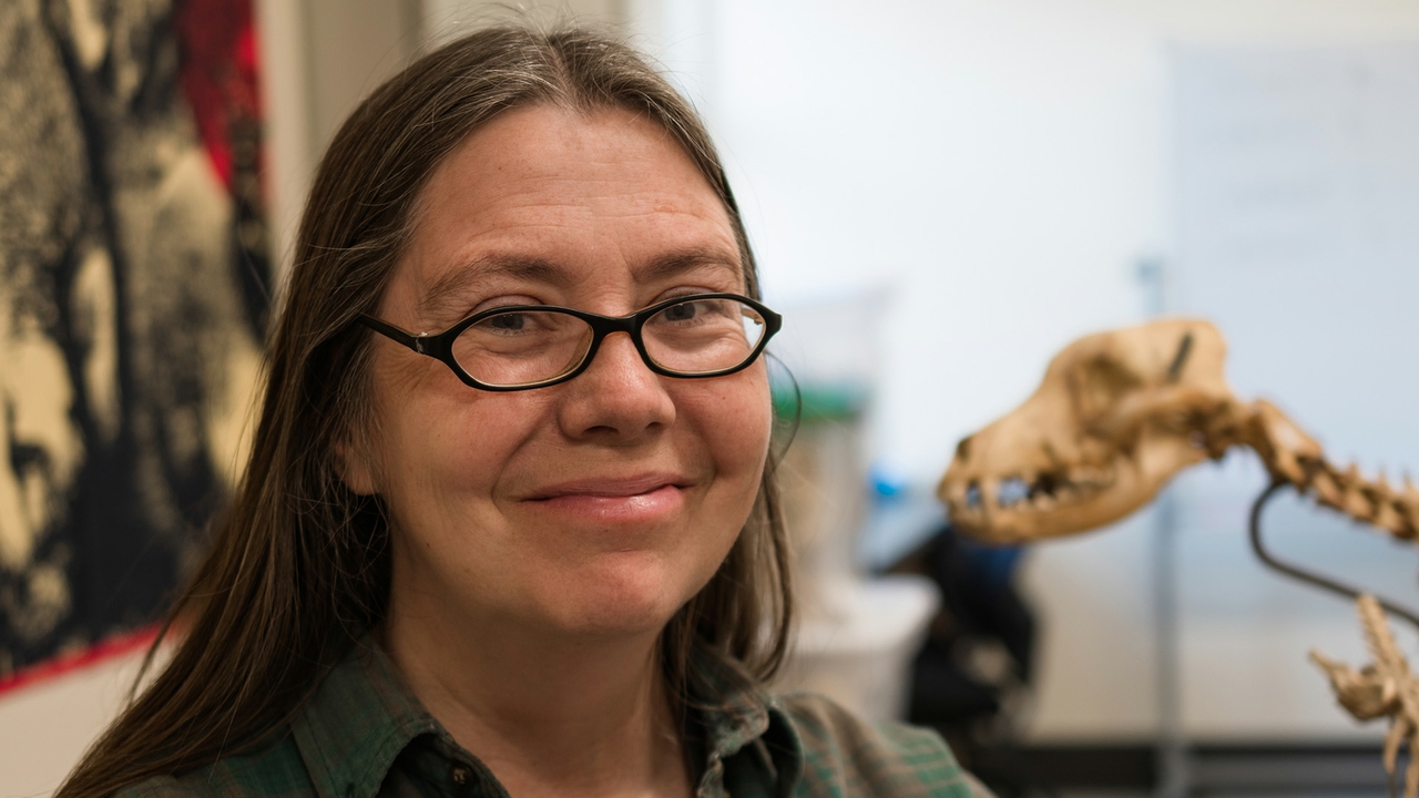 Book examines archaeological record of human impact on environments ...