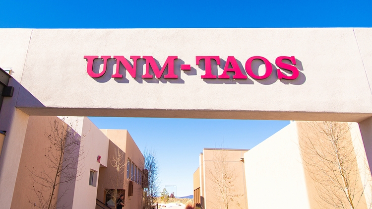 ‘Jessamyn Lovell: She’s Everywhere Now’ exhibition to open at UNM-Taos ...